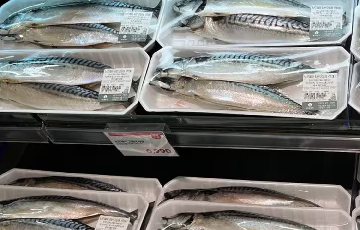 Norway posts highest seafood export value ever in October boosted by ...
