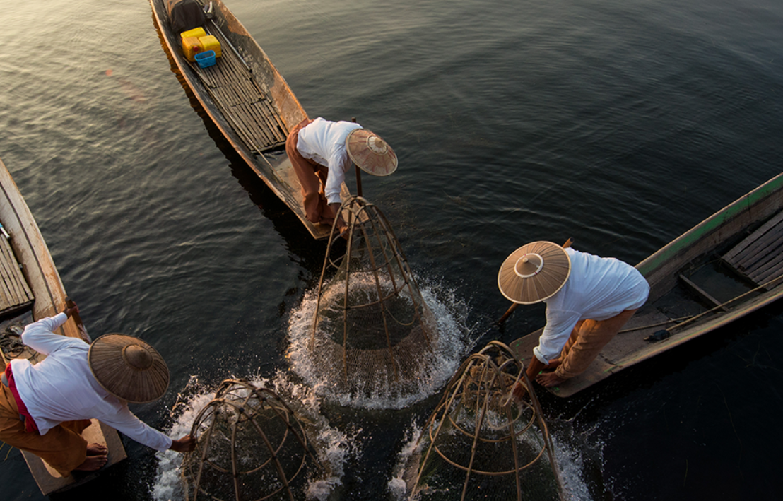 Real Time Data awarded funding to expand pilot electronic logbook ...