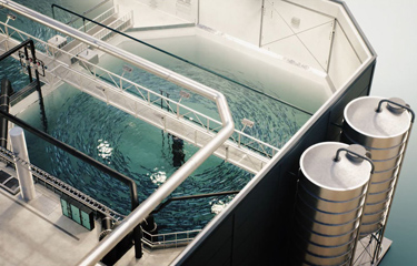 Scottish Salmon Company inks RAS agreement with Nofitech | SeafoodSource