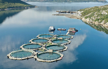 Closed-containment aquaculture company Akvafuture has plans for new BC ...