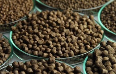 Aller Aqua introduces RAS salmon feed | SeafoodSource