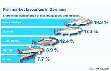 Fish From Germany Waller Fishing On The Rhine / Altwasser Catch A