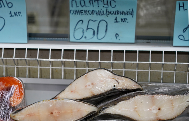 Russia working to counter downward trend in halibut stocks | SeafoodSource