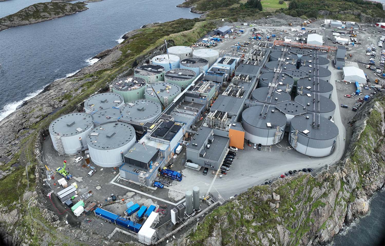 Salmon Evolution hits record biomass production, higher harvest weights ...