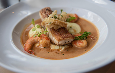 Understanding the European market potential for reef fish | SeafoodSource