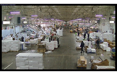 New Fulton Fish Market wins M. Slavin & Sons auction | SeafoodSource
