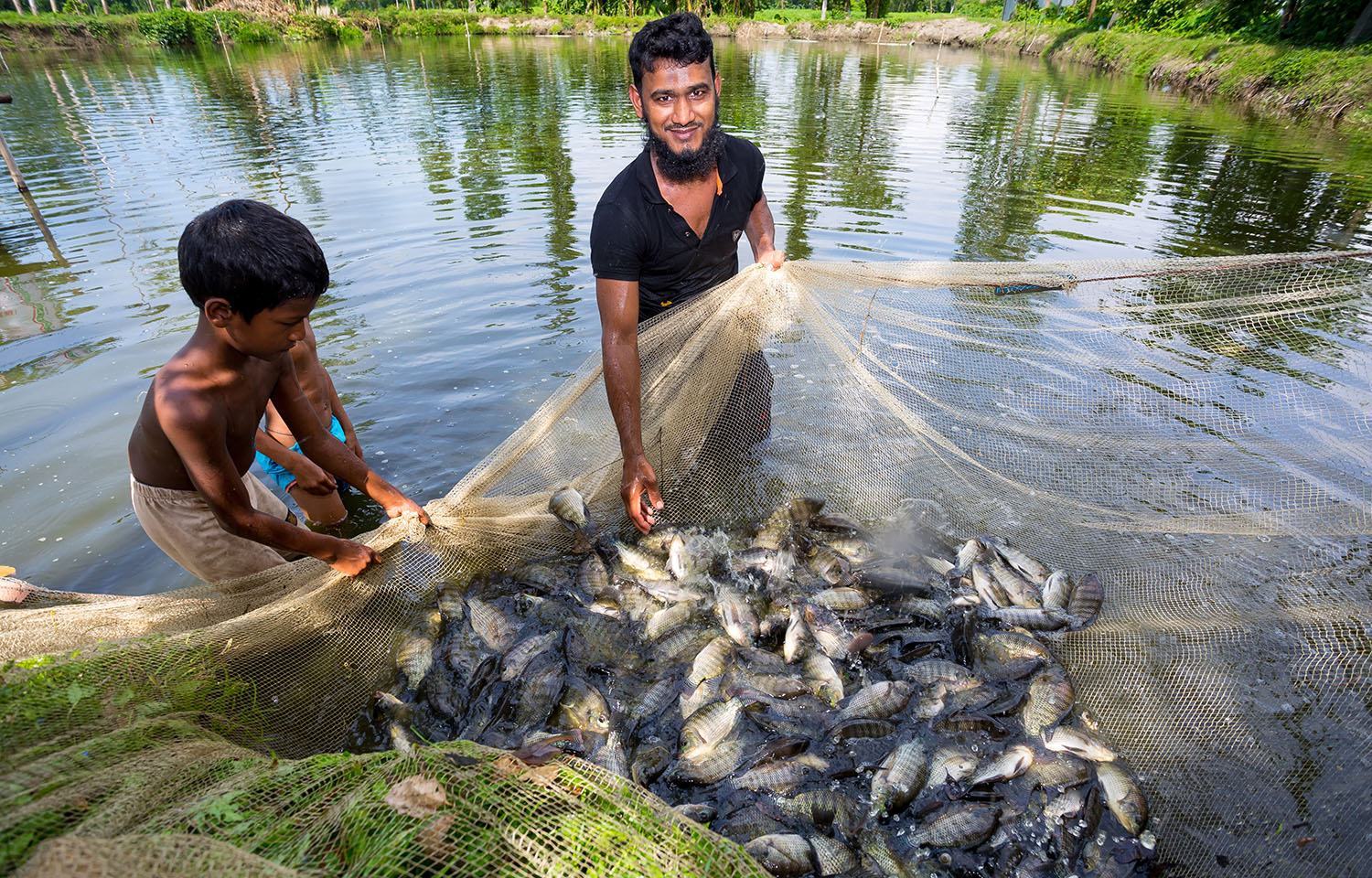 FoodTechBangladesh makes major investments in aquaculture sector with ...