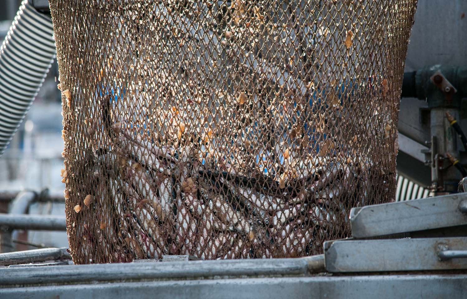 Study reinforces climate change will cause challenges for managing ...