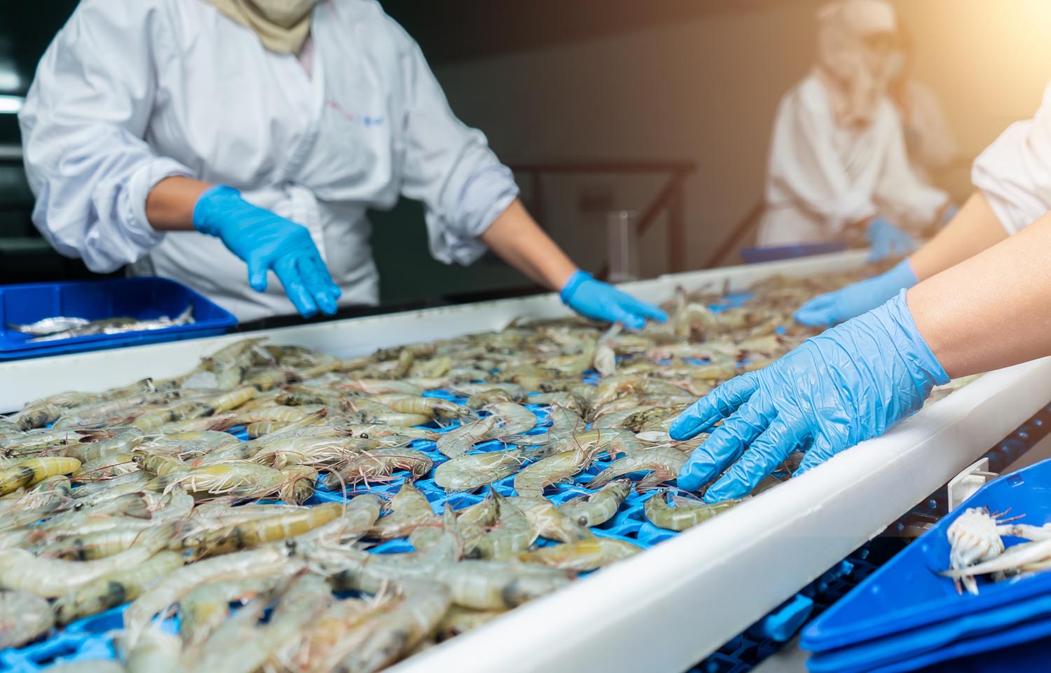 Foreign food inspections plummet following Trump administration layoffs ...