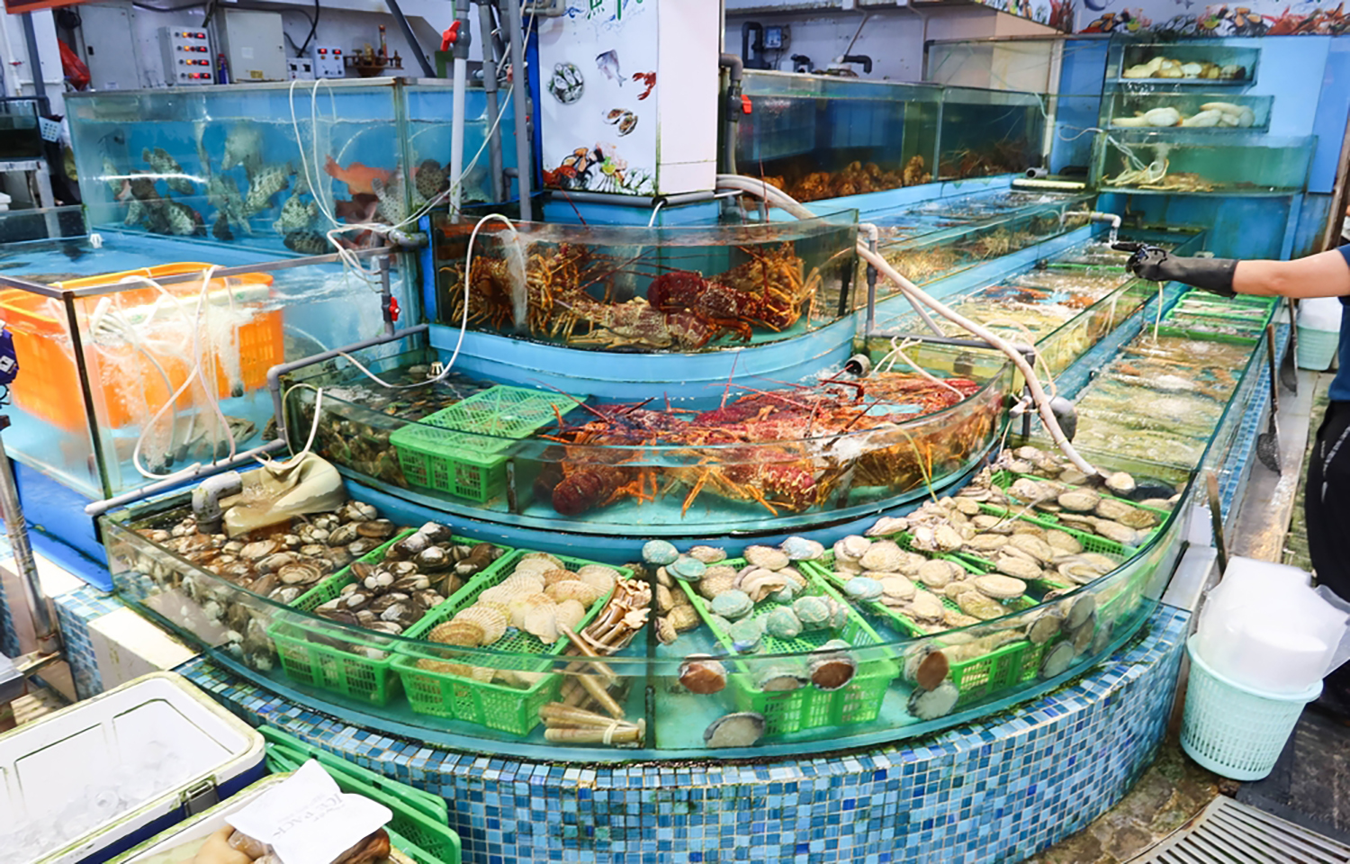 Chinese ratification of Port State Measures Agreement may force Hong ...