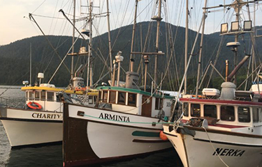 Washington lawsuit targets Alaska trollers | SeafoodSource