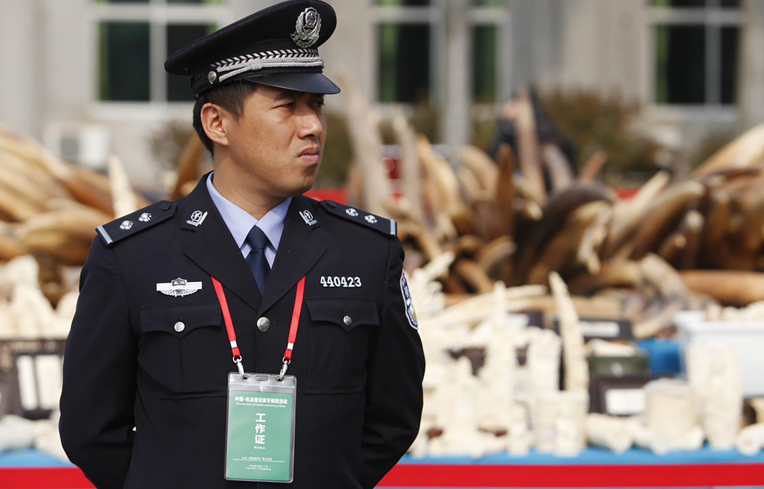 China's food import seizures soared in 2024 | SeafoodSource