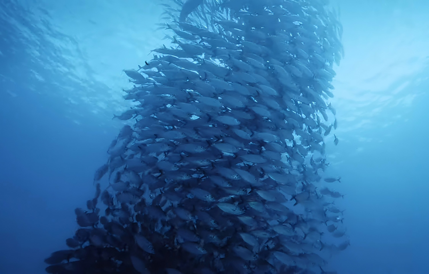 Walton Family Foundation: 80 percent of Americans care about ...