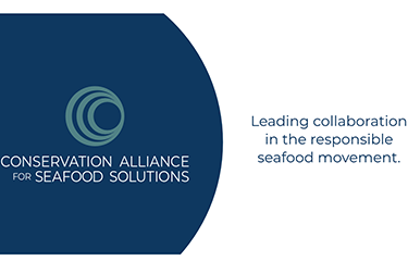 SeaHive created as network map for sustainable seafood movement ...