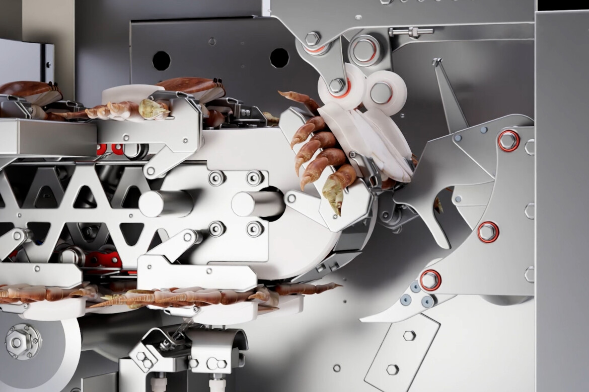 Intelligent Snow Crab Splitting | SeafoodSource