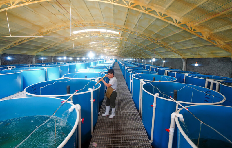 SeafoodSource