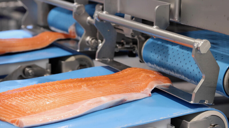 BAADER - North America Corp. | SeafoodSource