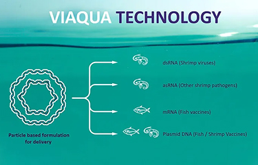S2G Ventures lead investor in ViAqua Therapeutics funding round | SeafoodSource