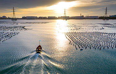 Planet Tracker: 50 million MT aquaculture deficit can be addressed with USD 55 billion capital ...