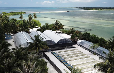 Blubridge sees niche demand among Asian youth for “convenient” sea ...