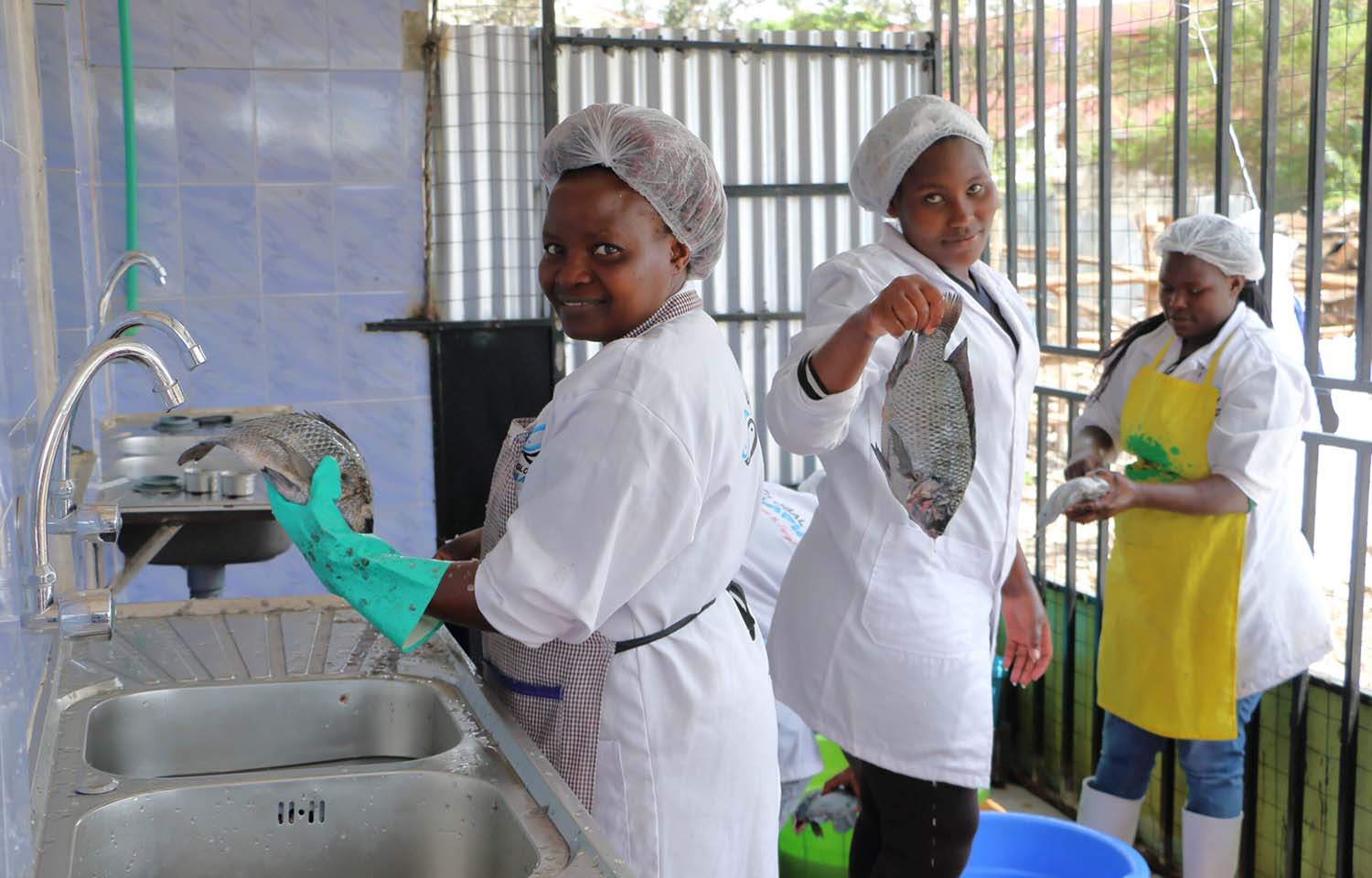 Kenya tilapia firm Camino Ruiz lands USD 1 million in financing to ...