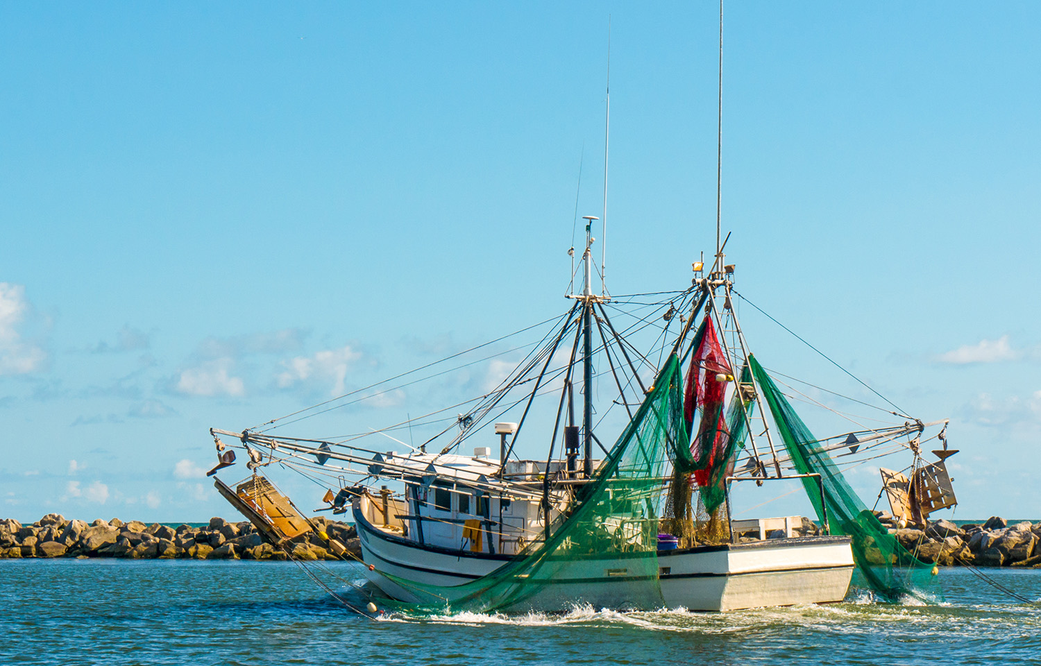 Legislation would make US shrimpers eligible for fishery disaster ...