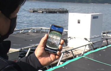 Kura Sushi debuts “AI Sumagatsuo,” an AI-farmed mackerel tuna ...