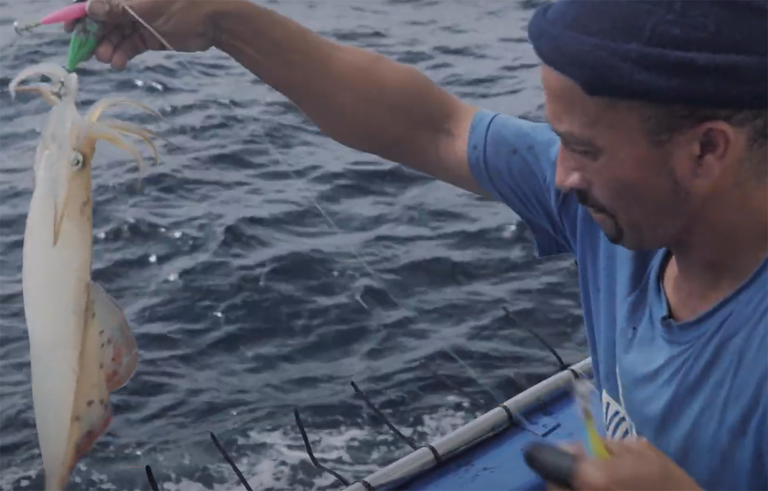 South African court grants squid quota to small-scale fishers in blow ...