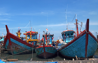 Seafood MAP project aims to make sustainability certification more ...
