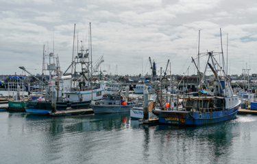 US Supreme Court ruling impacts marine insurance rates | SeafoodSource