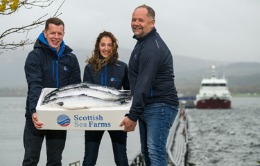 Scottish Sea Farms begins capitalizing on RAS hatchery | SeafoodSource