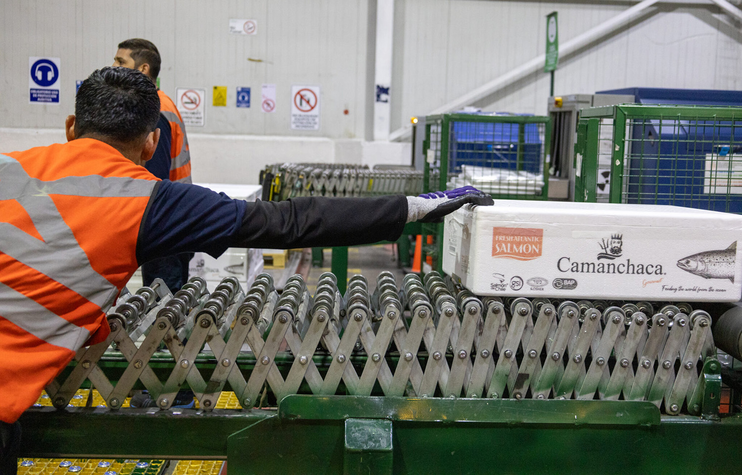 Camanchaca posts loss in Q3 2024 despite high catch rates, lower ...