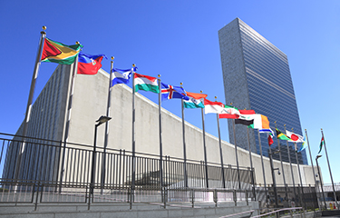 UN Fish Stocks Agreement conference makes limited progress on improving ...