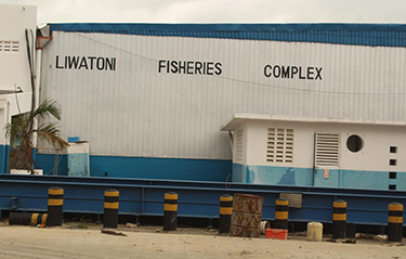 Expansion of fisheries complex in Kenya advances despite corruption ...