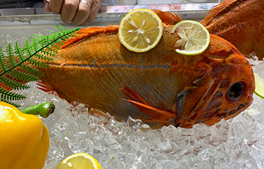Australia’s orange roughy fishery recommended for MSC certification ...