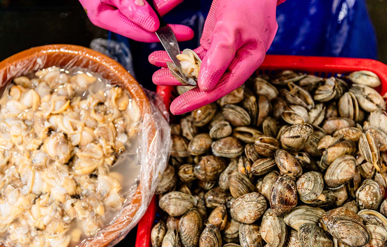 FDA, California-based company issue urgent oyster, Manila clam recalls ...