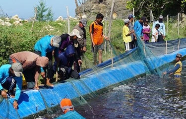 Jala Tech secures USD 6 million to expand shrimp-farming services in ...