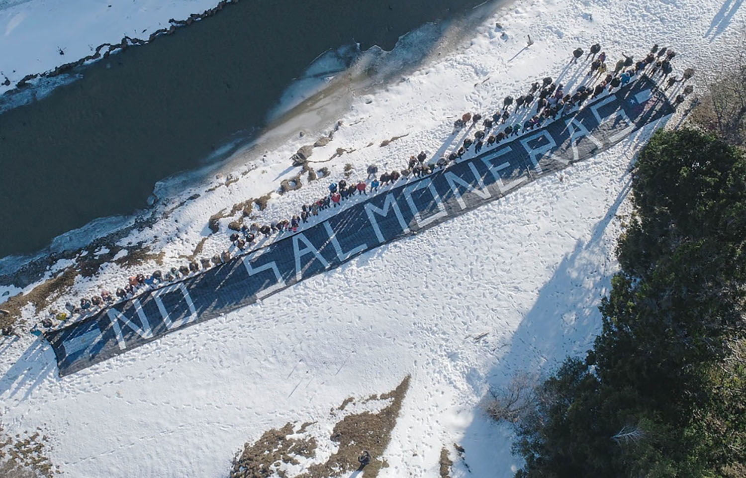 Argentinian province of Tierra del Fuego considering repeal of salmon ...