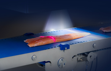 Marel takes 40 percent stake in Stranda Prolog, forms strategic ...