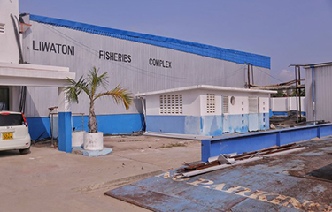 Kenya announces USD 98 million in new financing for fisheries sector ...