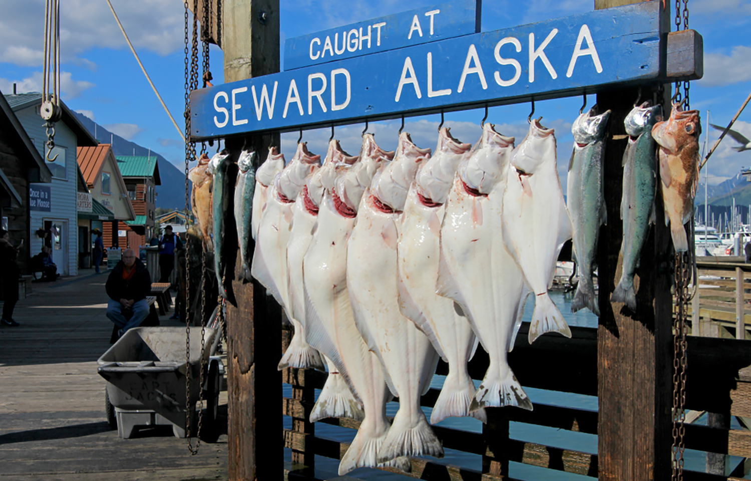 Pacific halibut catch declines as spawning biomass reaches lowest point ...