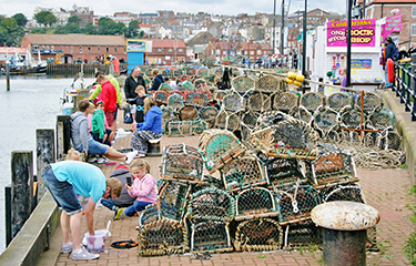 Seafish offers up marketing support to UK’s quayside, mobile fish ...