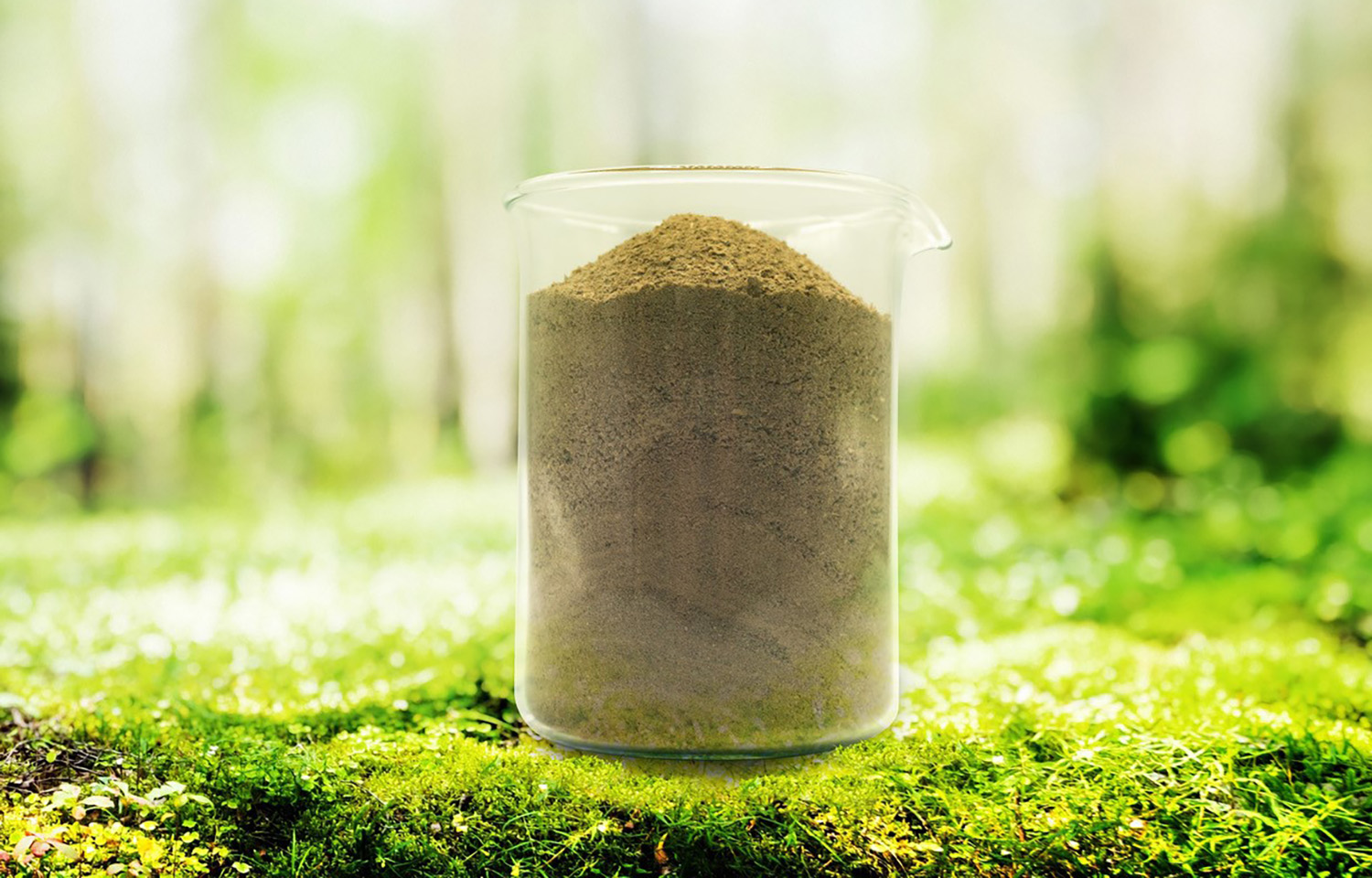 Protix: Label Rouge’s approval of insect ingredients drawing wide ...