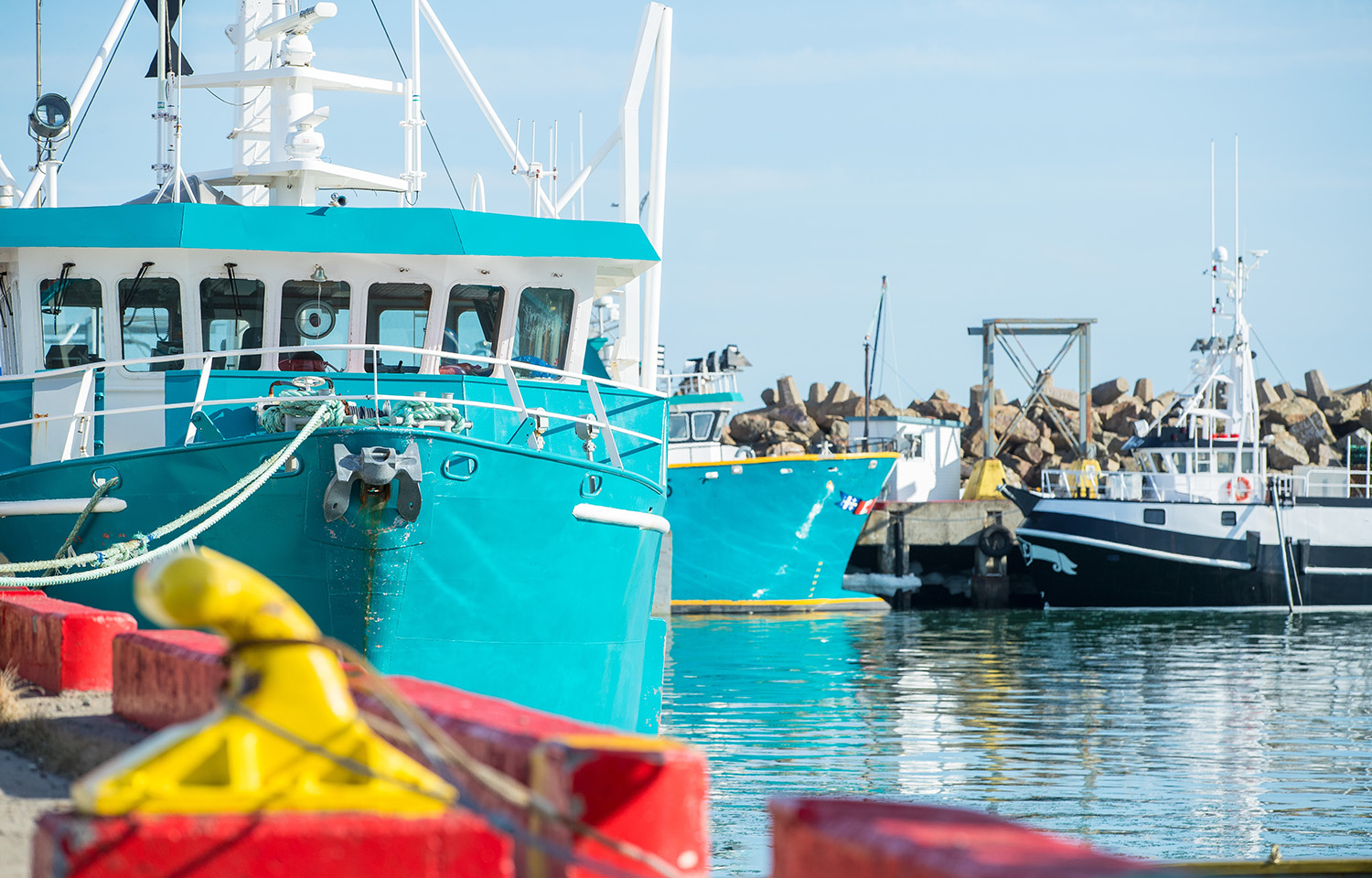 Canadian government awards CAD 830,000 for Quebec fisheries projects ...