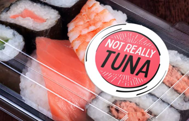 Oceana Canada discovers seafood mislabeling in four major cities ...