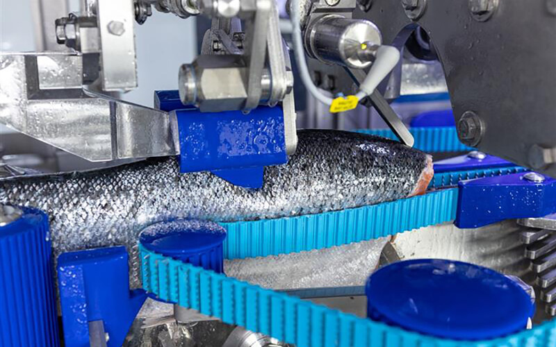 Processing & Equipment | SeafoodSource