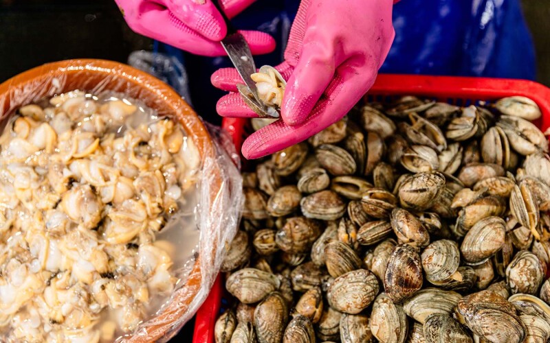 Food Safety & Health | SeafoodSource