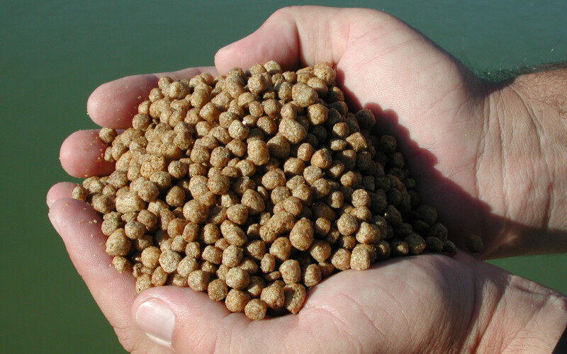 Aquaculture | SeafoodSource