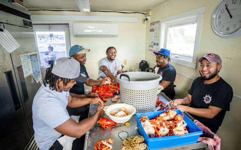 Environment & Sustainability | SeafoodSource