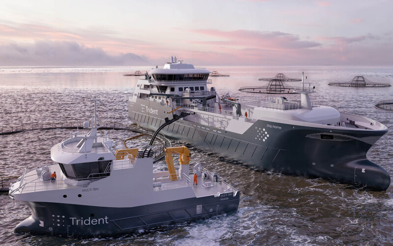 Processing & Equipment | SeafoodSource